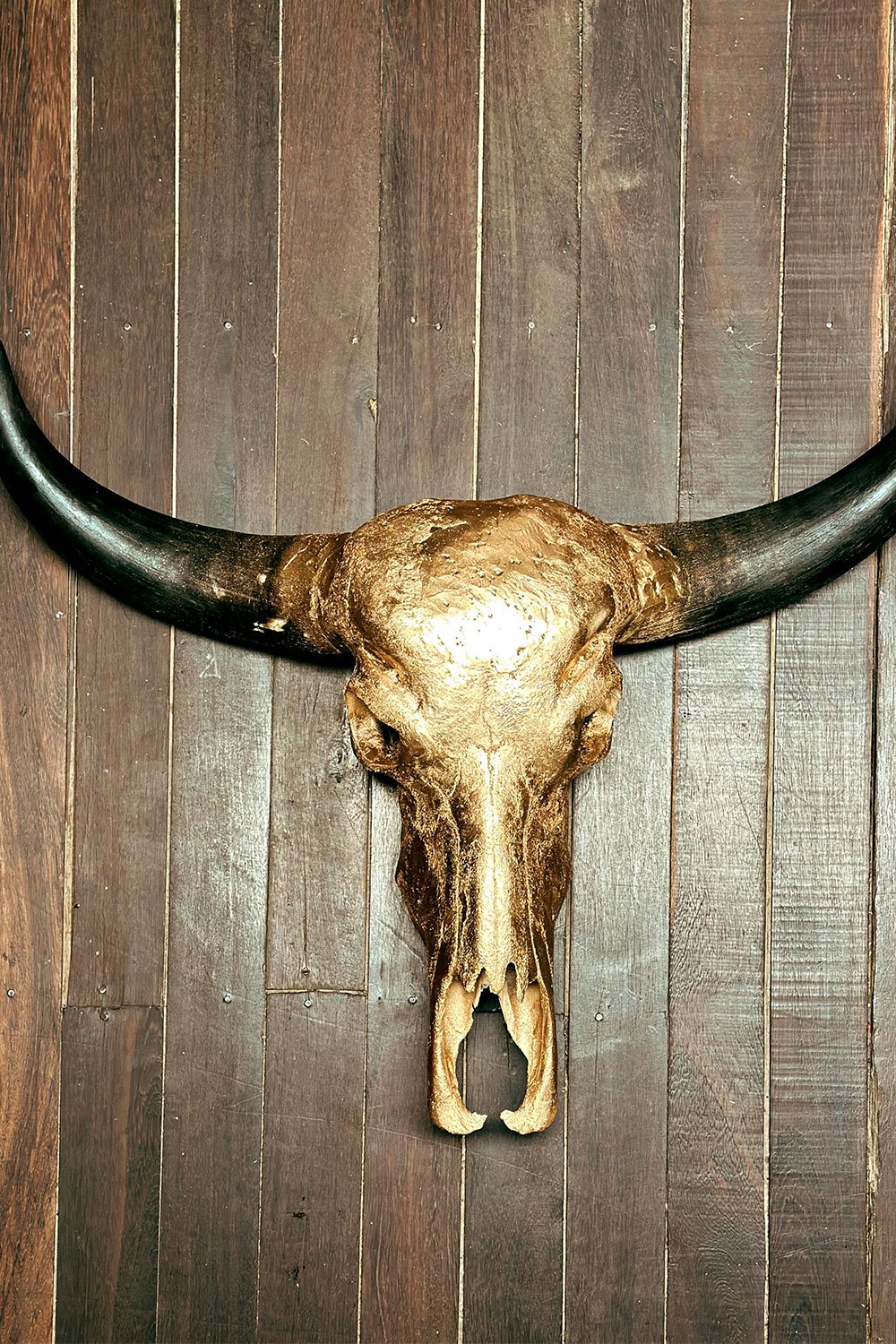 Cráneos de Toro – Old Western